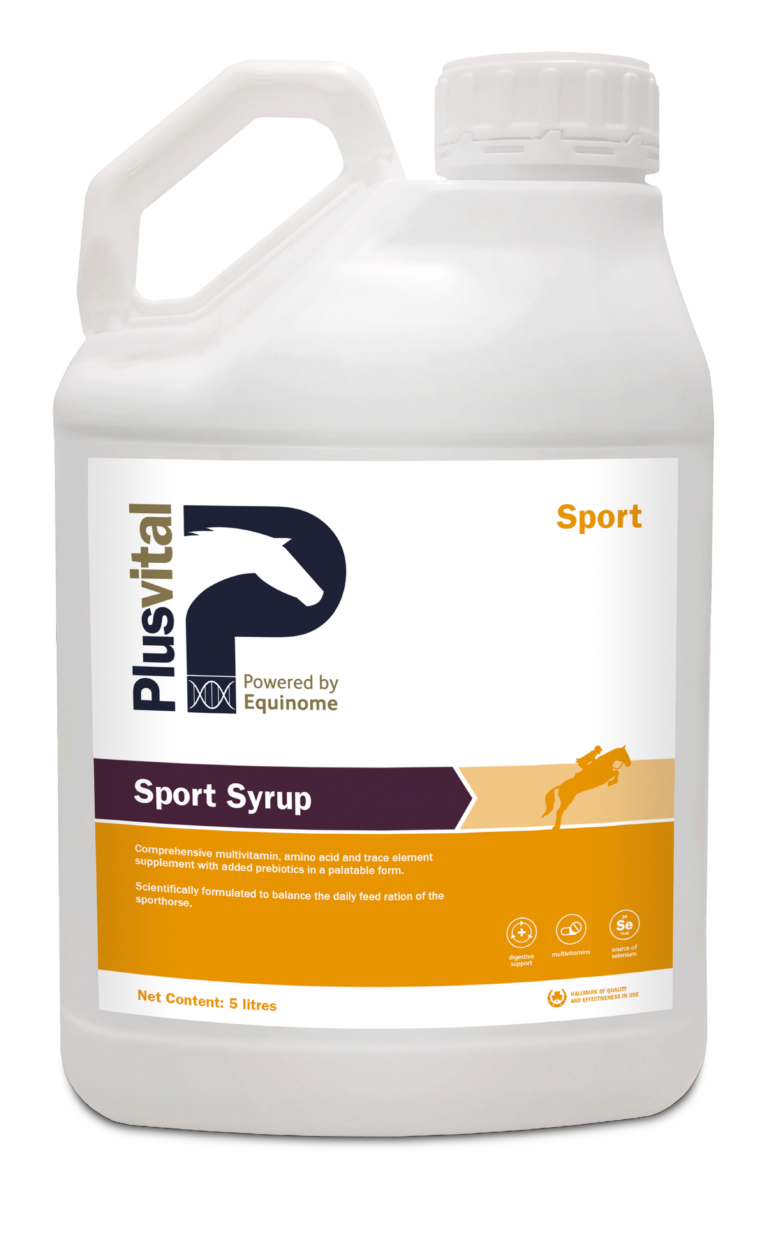 Plusvital Sport Syrup 1.8L – Flood Horsefeeds